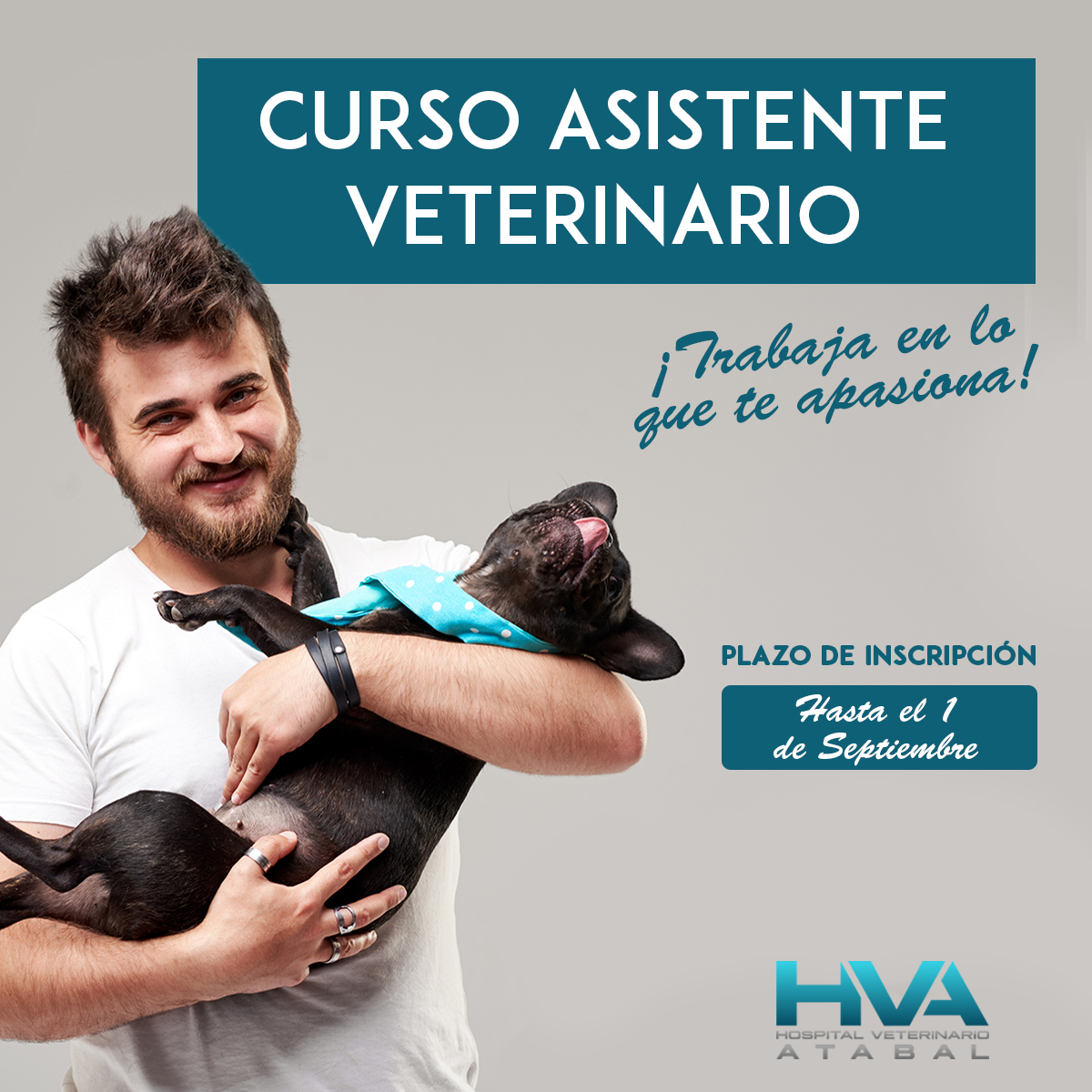 Curso ASISTENTE CLÍNICO DE VETERINARIA en Málaga – HVAtabal