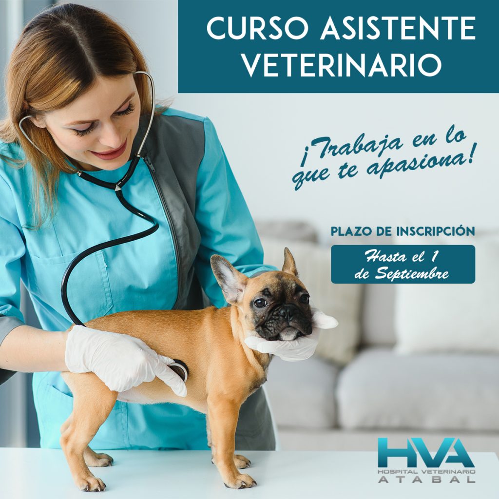 Curso de Asistente de Veterinaria en Málaga – HVAtabal